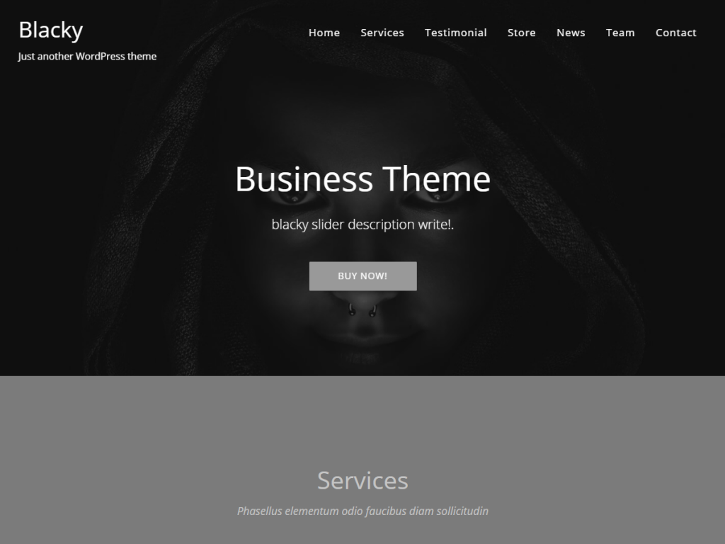 Blacky – One Page Responsive WordPress Theme - eVidisha
