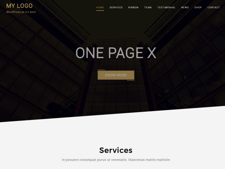 One page X Responsive WordPress theme - eVidisha
