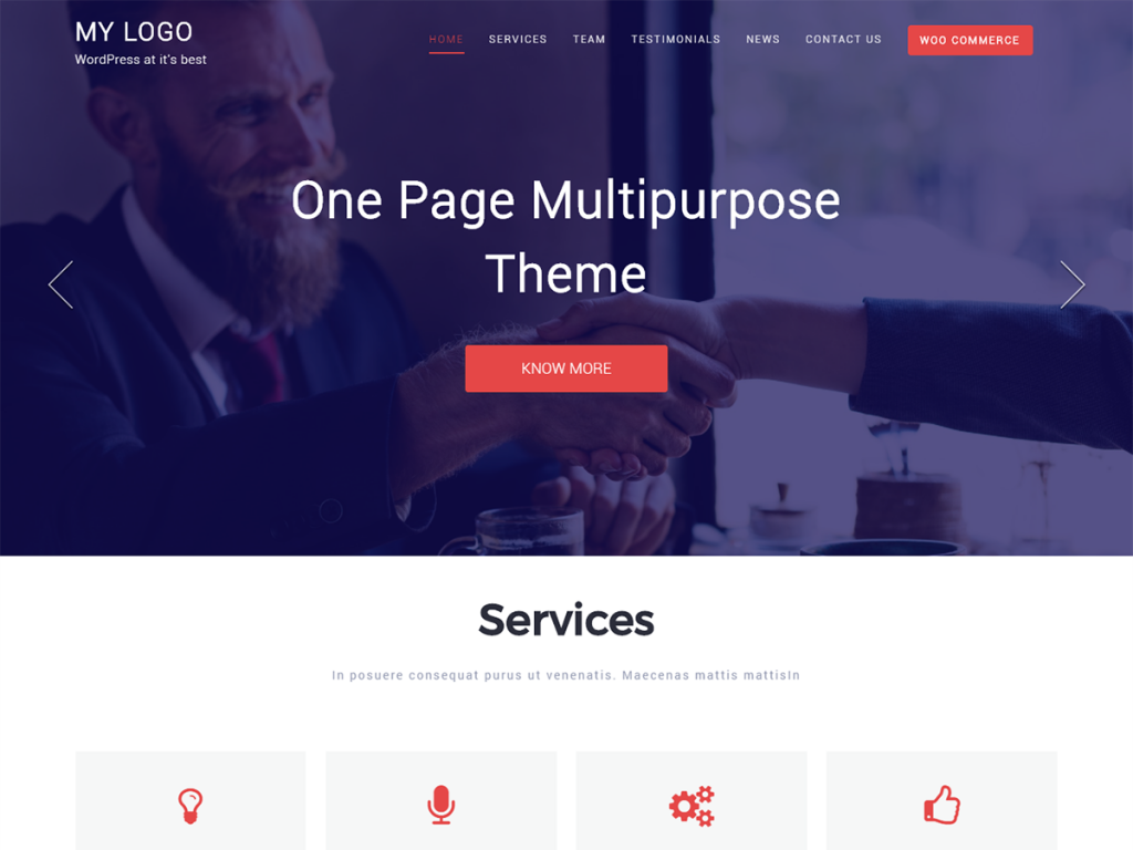 One Page Multipurpose WordPress Theme - eVidisha